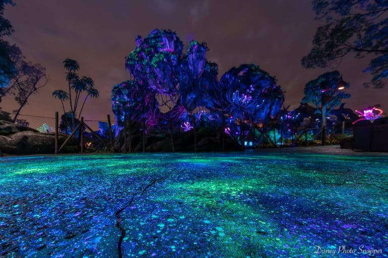 10 Most Beautiful Sights Around Walt Disney World | Disney Dining