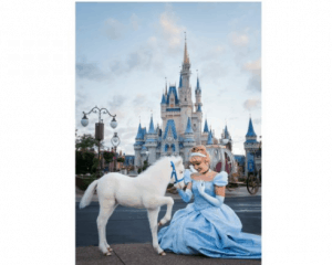 Newest Cinderella Pony Joins Walt Disney World Family | Disney Dining