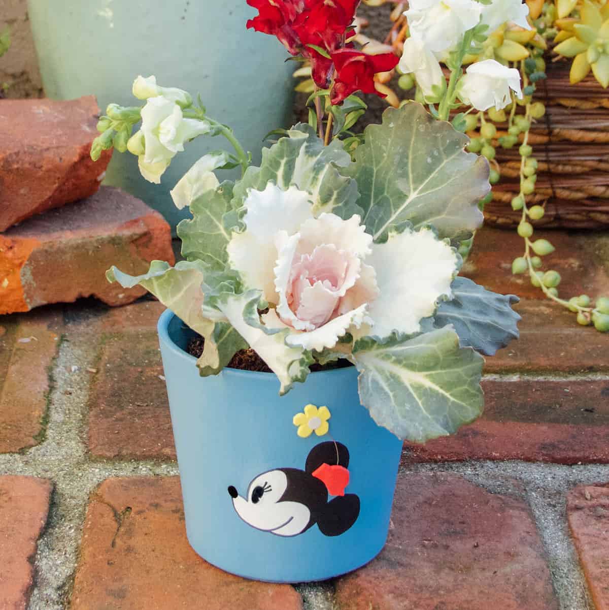 Create a Minnie Mouse DIY Garden | Disney Dining