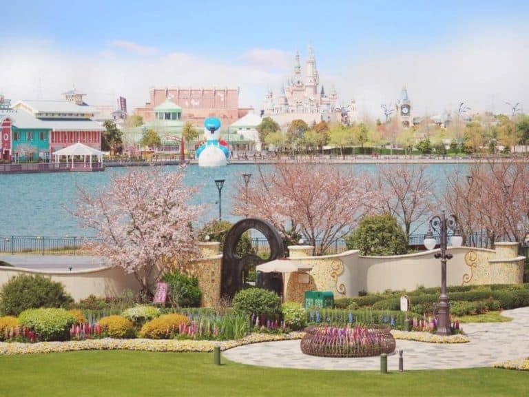 24 Photos of the Spectacular Colors of Spring at Disney Parks Around ...