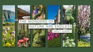 24 Photos of the Spectacular Colors of Spring at Disney Parks Around ...