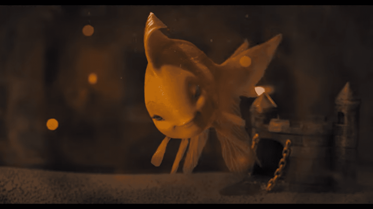 Pinocchio Fish Pinocchio Fish