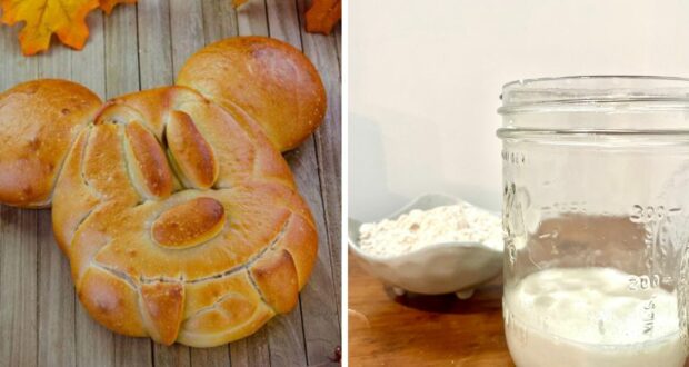 Sourdough Starter Recipe for Disney Park Recipes