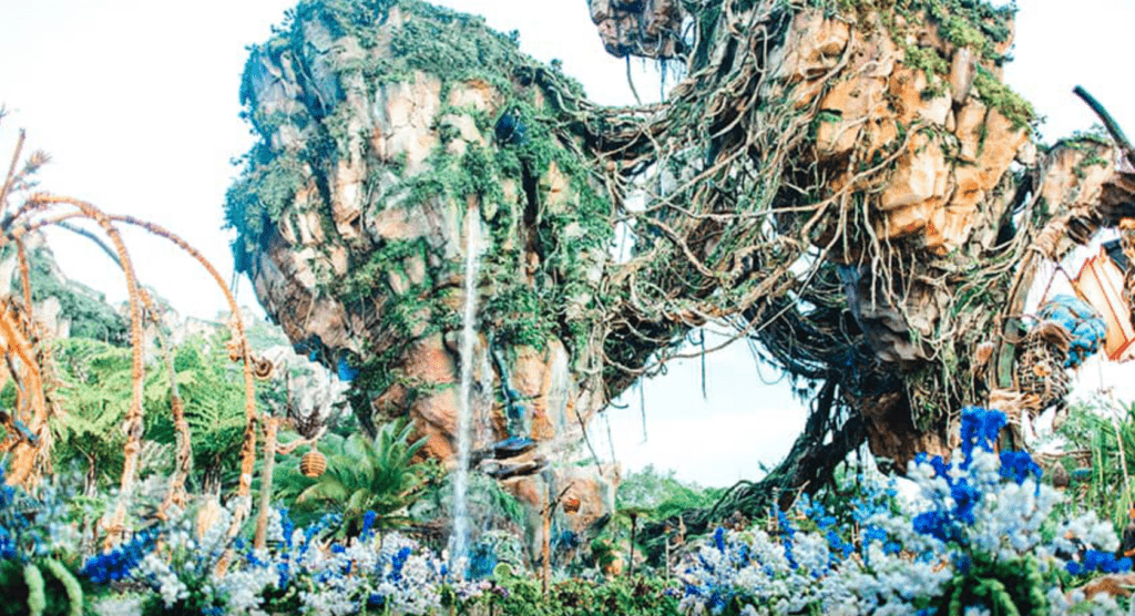 How You Can Get Bladder Polyps at Walt Disney World Resort | Disney Dining