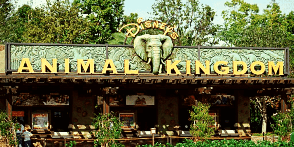 Animal Escape at Disney’s Animal Kingdom: Could It Happen and What to ...