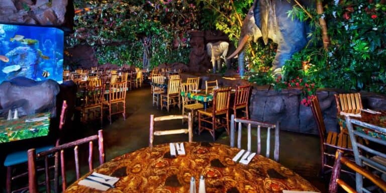 End of an Era: Permanent Closure Date Set for Disney's Rainforest Cafe ...