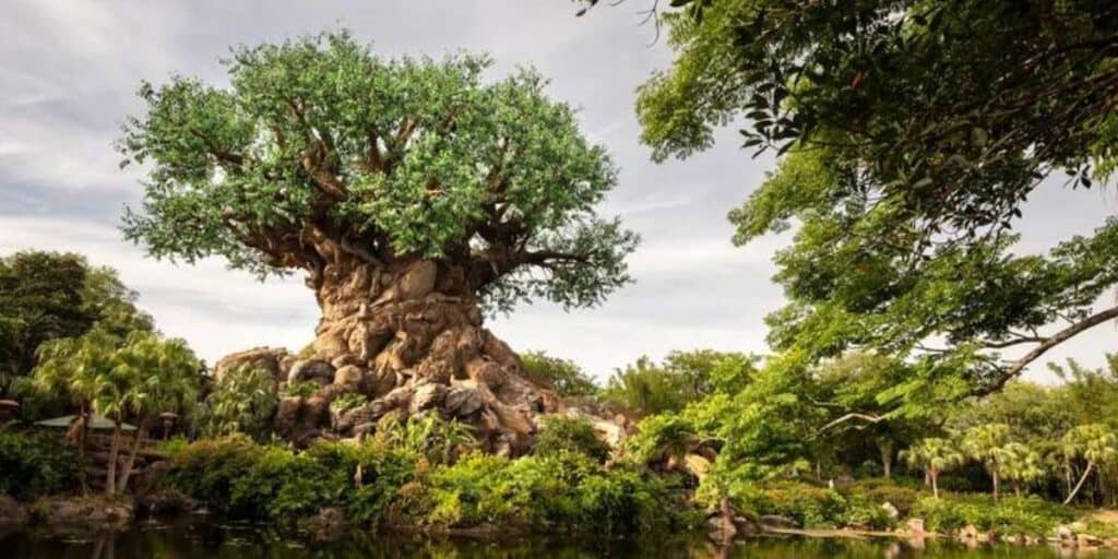 The Best Disney Restaurants in Each Park (They Aren’t the Ones You’d ...