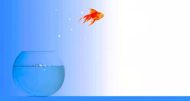 Disney Debuts 'Out of My Mind' Film About a Non-Verbal Sixth Grader ...