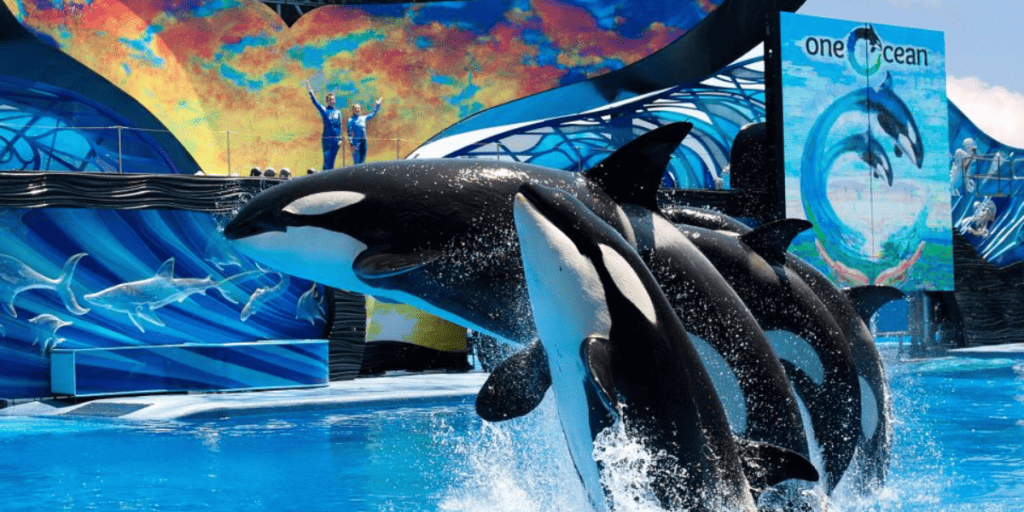 Trouble At SeaWorld Theme Park Officially Responds To Government Trouble At SeaWorld Theme Park Officially Responds To Government