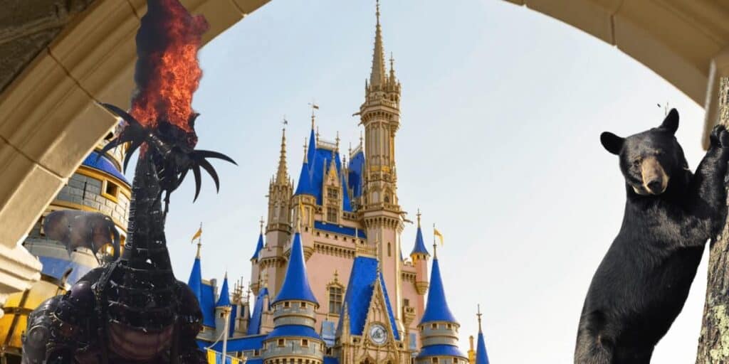 The CRAZIEST Things That Have Happened at the Magic Kingdom! | Disney ...