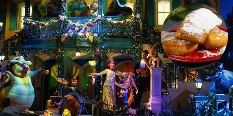 Princess Tiana's Hair Removed, Bald Animatronic on Display at Disney ...