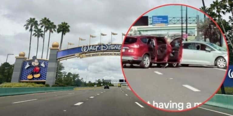 Traffic Chaos After Crash at Walt Disney World Entrance | Disney Dining