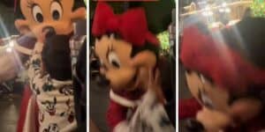 Incident Between Toddler and Minnie Mouse Sparks Debate About Theme ...